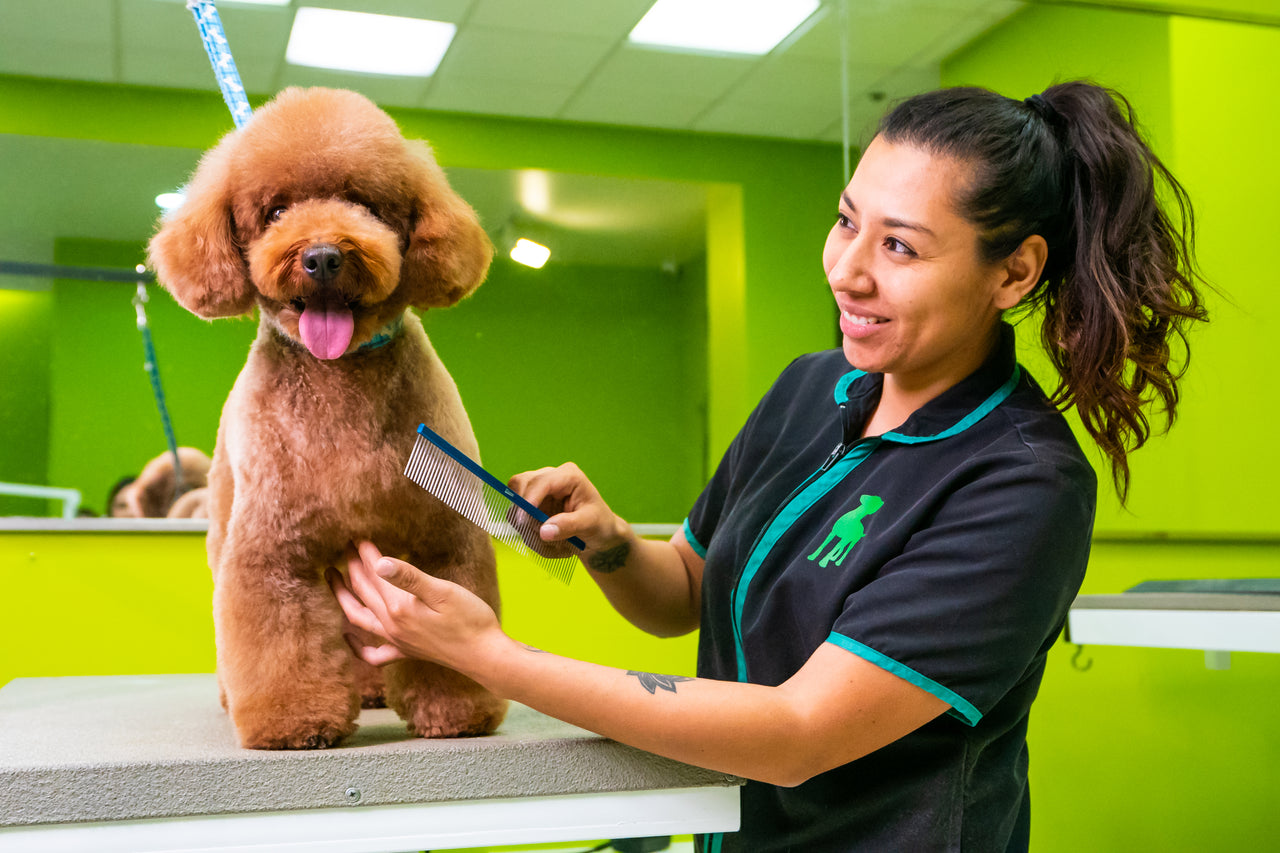 THE BENEFITS OF GROOMING – HEALTHY SPOT