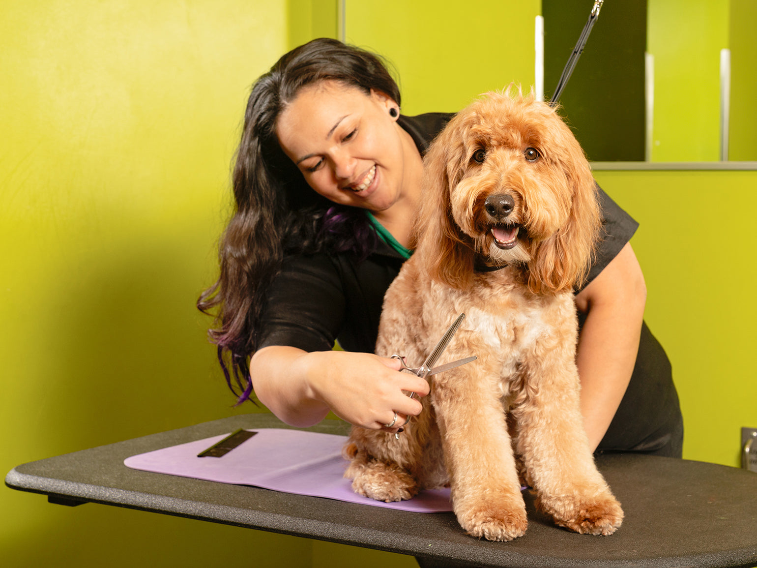 Spot's Corner – HEALTHY SPOT