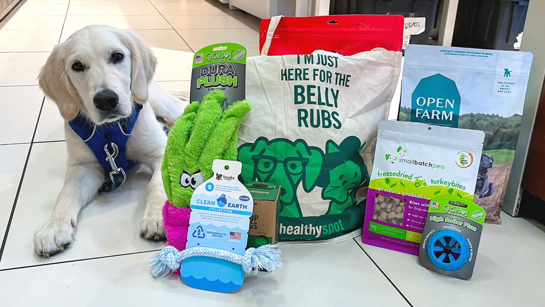 How To Shop Green At Your Local Spot – HEALTHY SPOT