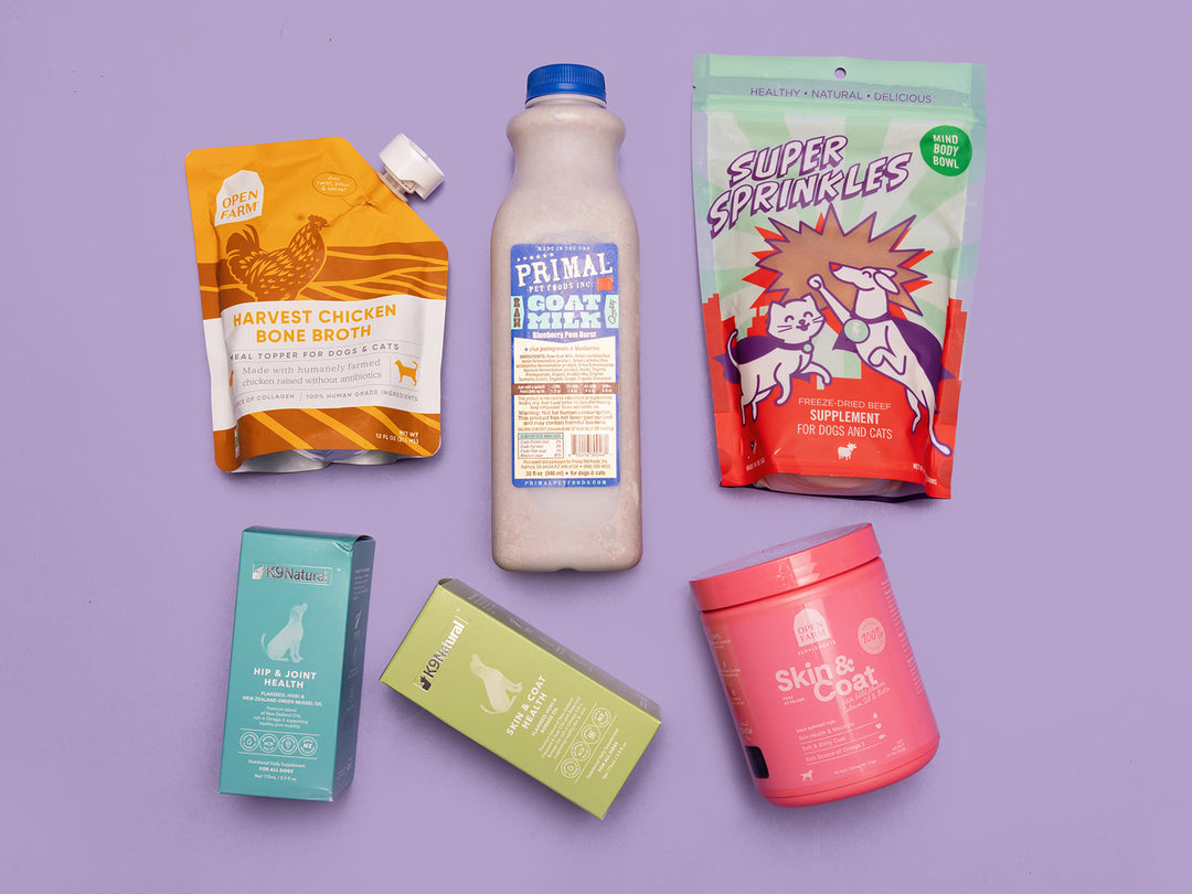 Meet The Powerhouse That Is The Healthy Spot Team! – HEALTHY SPOT