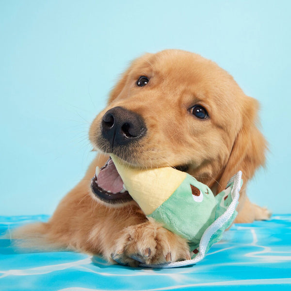 Bark Melty Minty Monty Dog Toy – HEALTHY SPOT