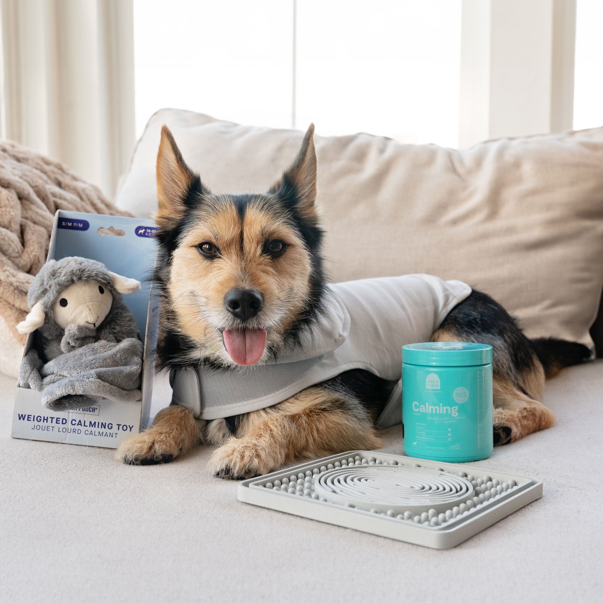 Natural pet store inspiring healthy pet lifestyles | Healthy Spot ...