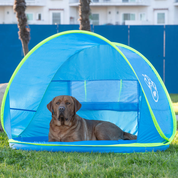 Canada Pooch Cooling Station Blue Dog Travel – HEALTHY SPOT