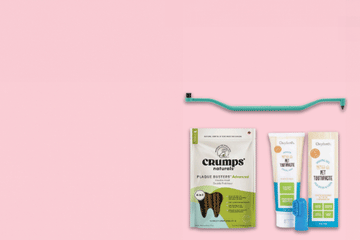 Natural pet store inspiring healthy pet lifestyles | Healthy Spot ...