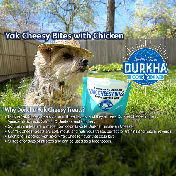 Durkha Yak Cheesy Bites Dog Chicken 3.5 oz – HEALTHY SPOT