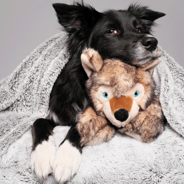 Fluff & Tuff Lobo Wolf Pup Brown Dog Toys – HEALTHY SPOT