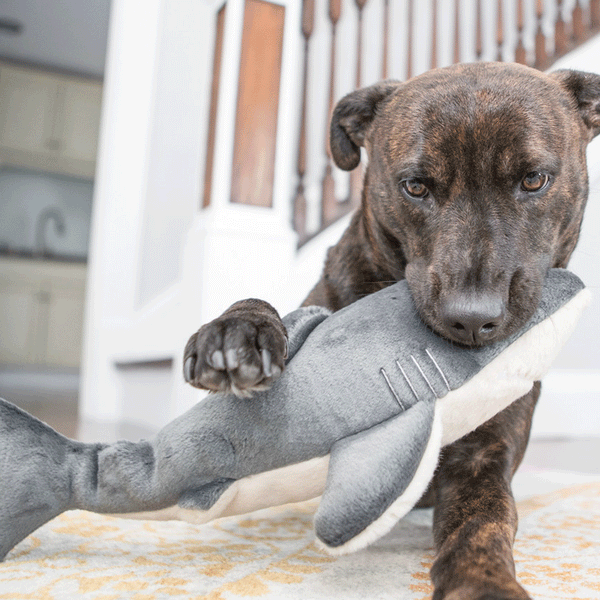 Fluff & Tuff Mac Shark – HEALTHY SPOT