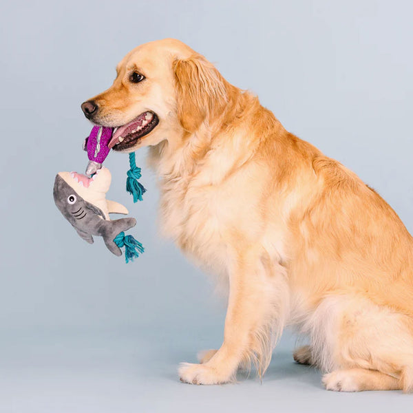 Fringe Shark Bait Multi Dog Toys – HEALTHY SPOT