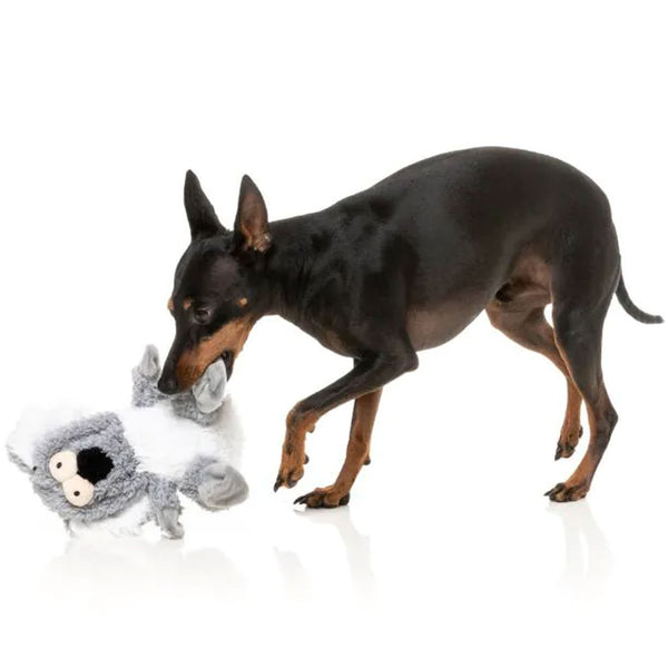 Fuzzyard Flat Out Toys Kana Koala Dog Toys – HEALTHY SPOT
