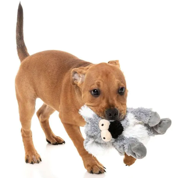 Fuzzyard Flat Out Toys Kana Koala Dog Toys – HEALTHY SPOT