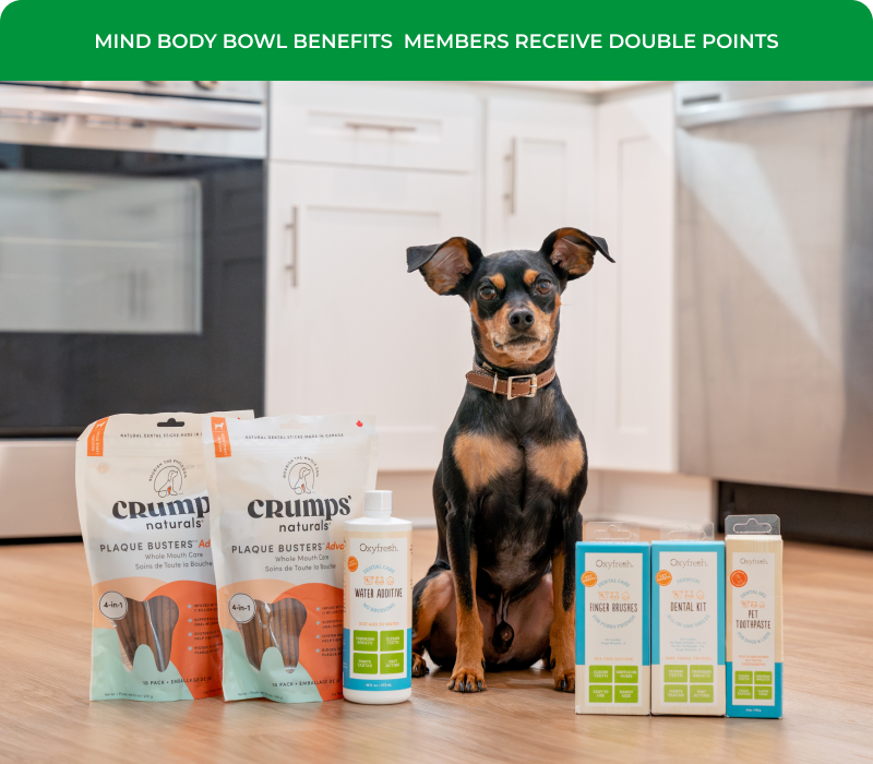 Natural pet store inspiring healthy pet lifestyles | Healthy Spot ...