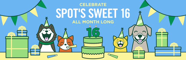 Natural pet store inspiring healthy pet lifestyles | Healthy Spot ...