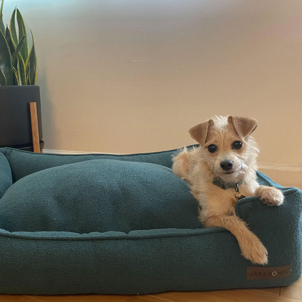 Jax & Bones Premium Lounge Dog Bed - Cordova Jade – HEALTHY SPOT