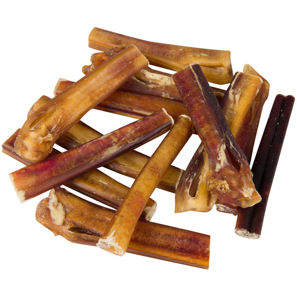Mind Body Bowl 6" Bullystick 16oz – HEALTHY SPOT