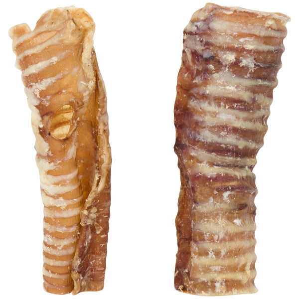 Mind Body Bowl 6" Beef Trachea Chew 2 pack – HEALTHY SPOT