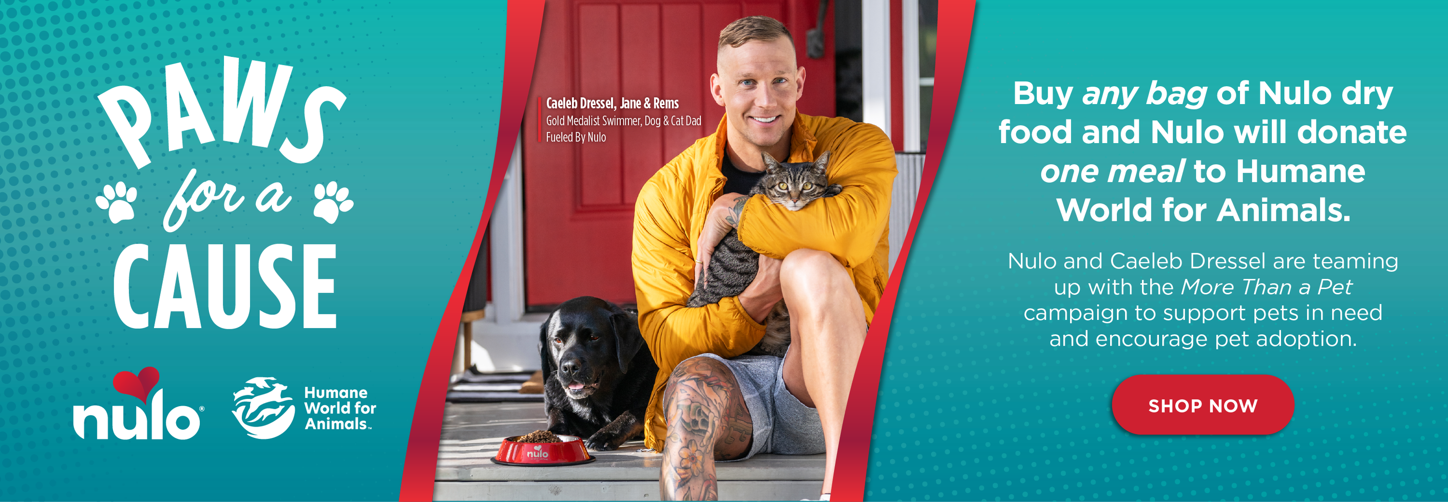 Nulo – HEALTHY SPOT