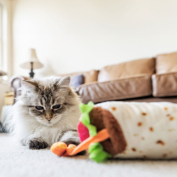 P.L.A.Y. Cat Kicker Burrito Multi Cat Toys – HEALTHY SPOT
