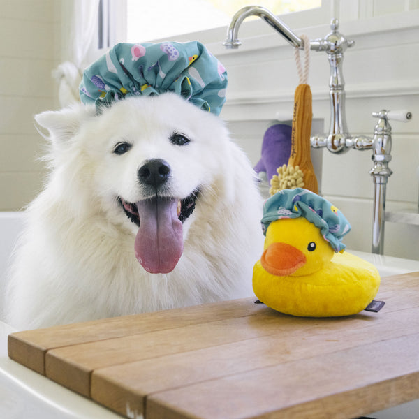 P.L.A.Y. Splish Splash Bubbles the Duck Dog Toys – HEALTHY SPOT