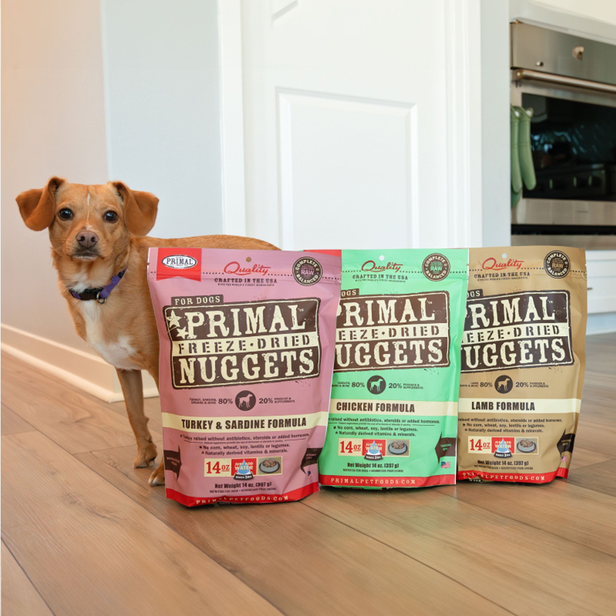 Natural pet store inspiring healthy pet lifestyles | Healthy Spot ...