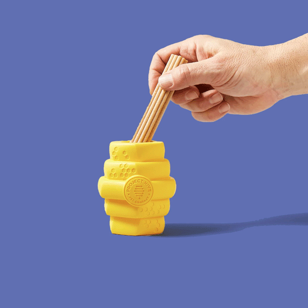 Project Hive Chew Yellow Dog Toys – HEALTHY SPOT