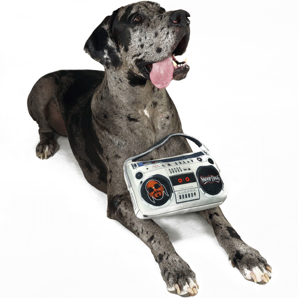 Snoop Doggie Dogg Boom Box Toy Grey Dog Toys – HEALTHY SPOT
