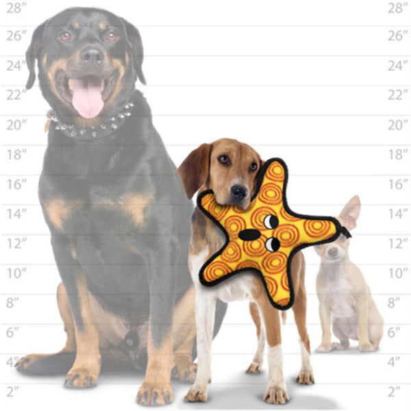 VIP Products Sea Starfish Dog Toy - Yellow – HEALTHY SPOT