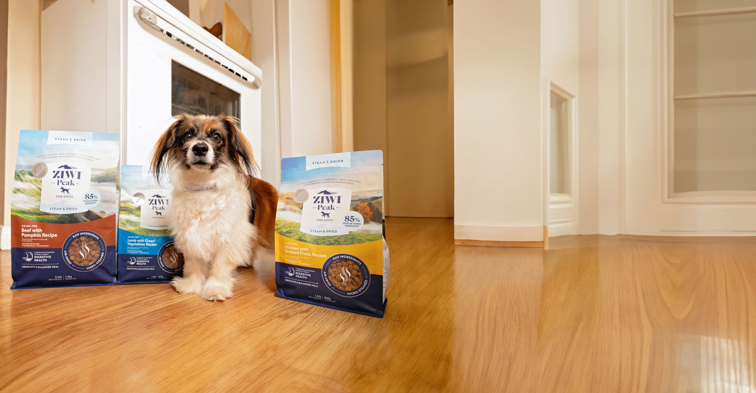 Natural pet store inspiring healthy pet lifestyles | Healthy Spot ...