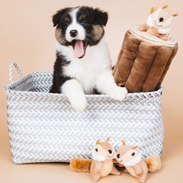 Zippy Paws Log & Chipmunks Burrow Dog Toy – HEALTHY SPOT