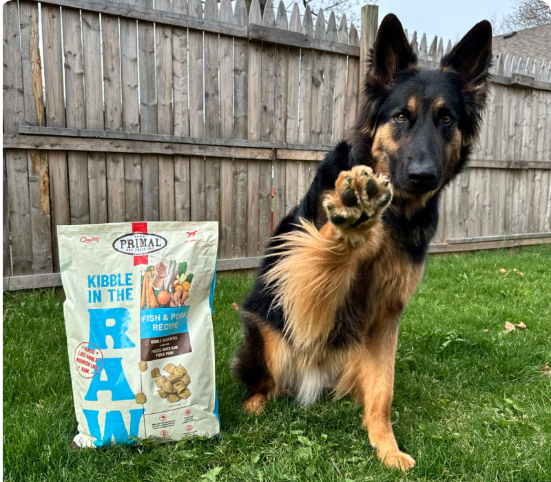 Natural pet store inspiring healthy pet lifestyles | Healthy Spot ...