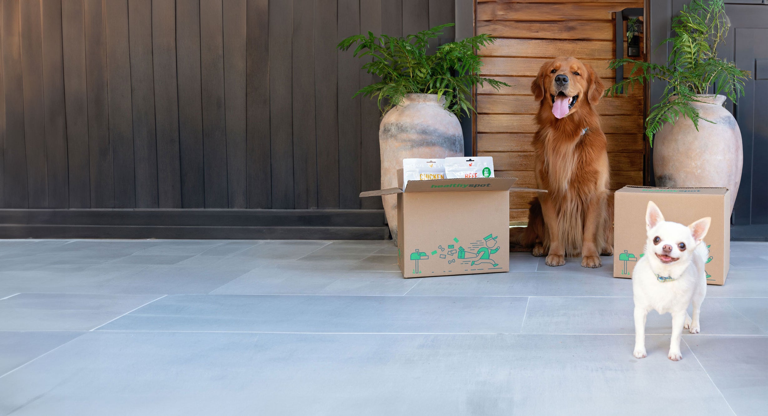 Natural pet store inspiring healthy pet lifestyles | Healthy Spot ...