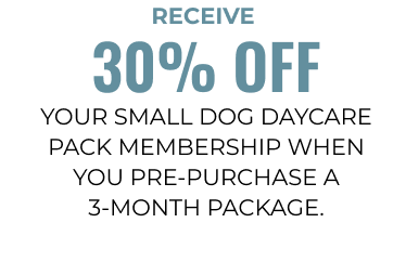 Natural pet store inspiring healthy pet lifestyles | Healthy Spot ...